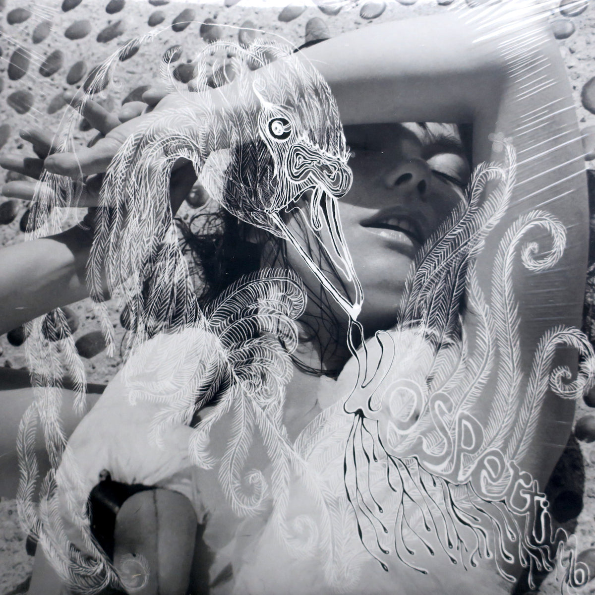 BJORK 'Vespertine' 180g Vinyl 2LP – GOLDMINE RECORDS PTY. LTD.