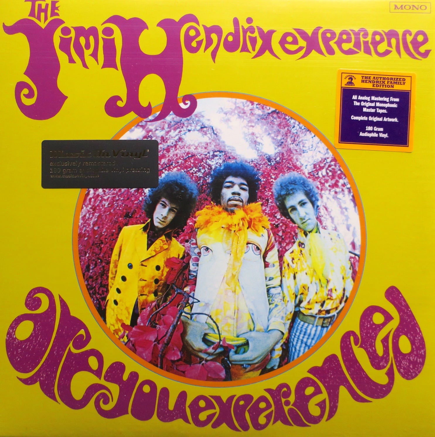 Jimi Hendrix Are You Experienced 180g Vinyl Lp Goldmine Records
